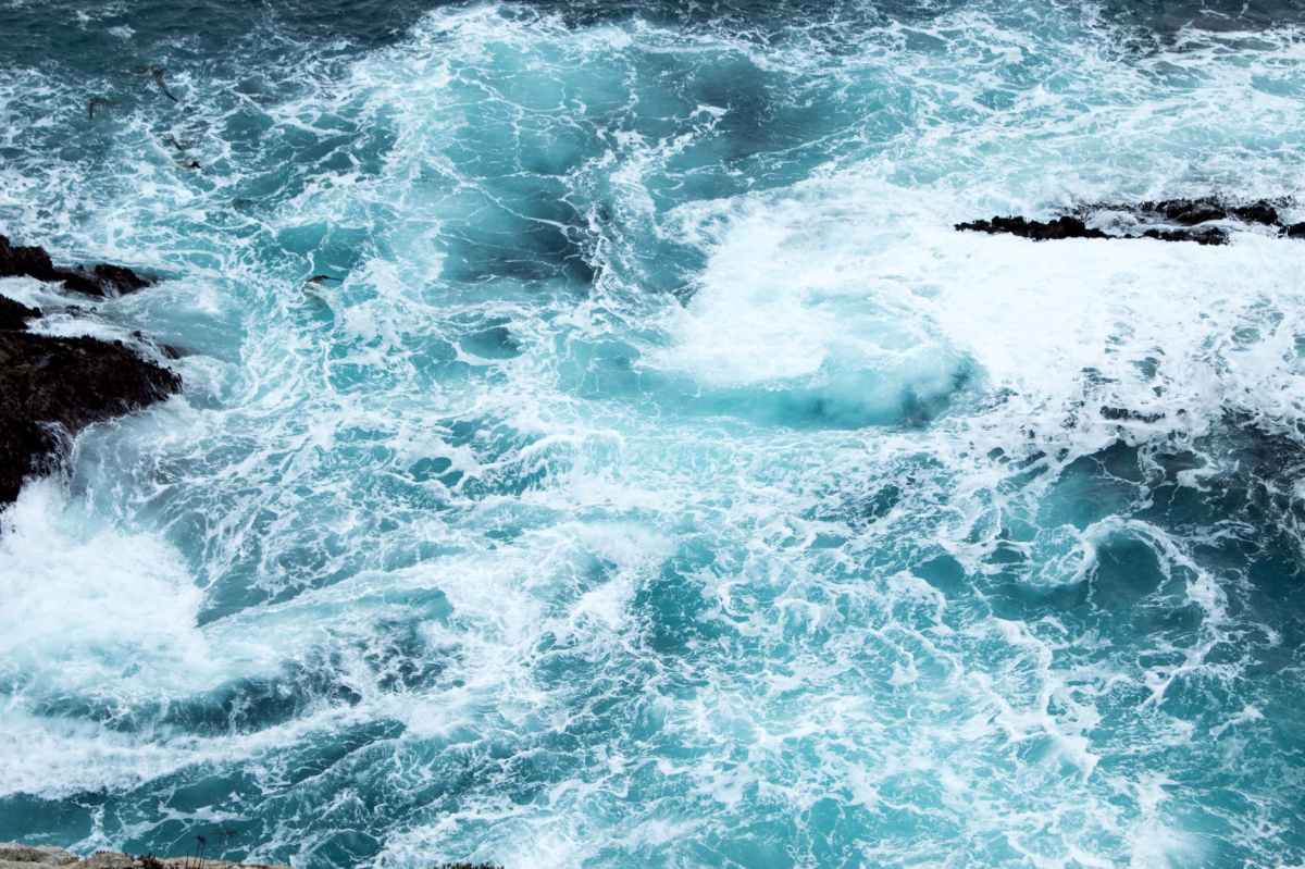 When Everything is Shaken – Joy Pursuit